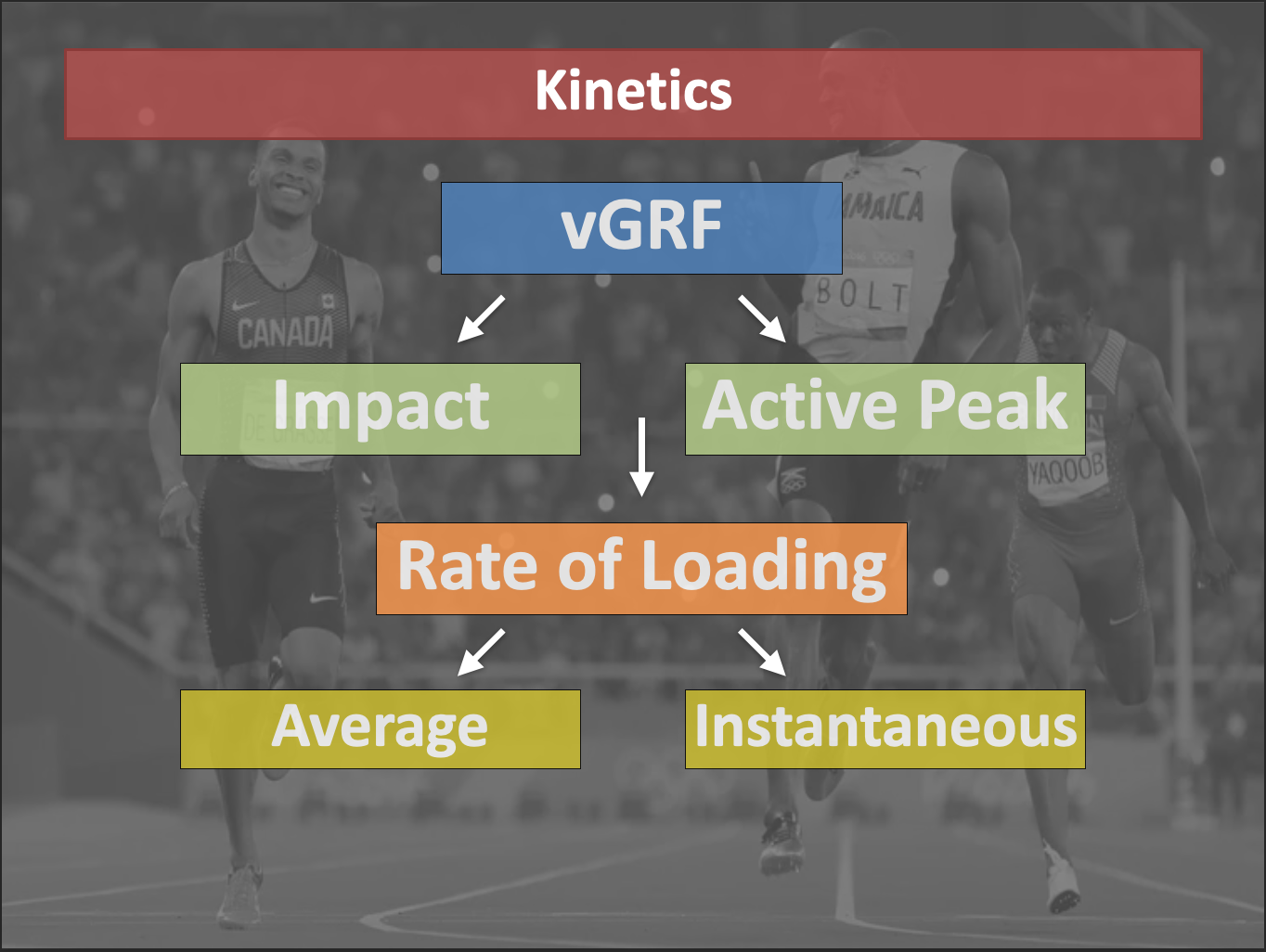 What do we “know” about running injuries?: Forces – Dr. Anthony Iannarino